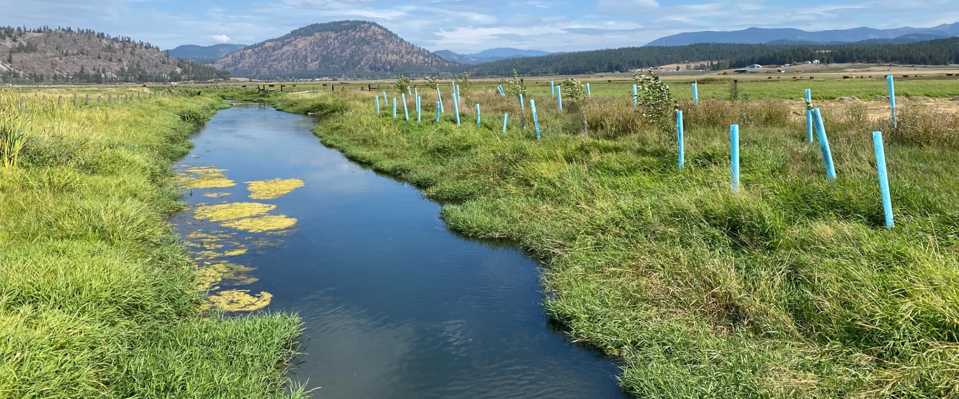 Protecting Nature In Franklin County, Washington: Safeguarding Local ...